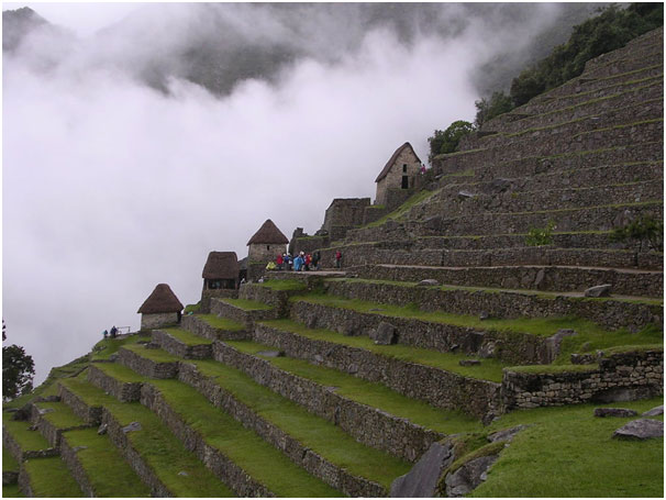 Inca Terraces